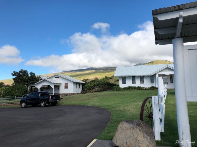 What to Do on the Big Island of Hawaii - Family Fun Canada