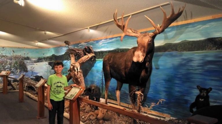 Family Adventures in the Haliburton Forest and Wildlife Reserve ...