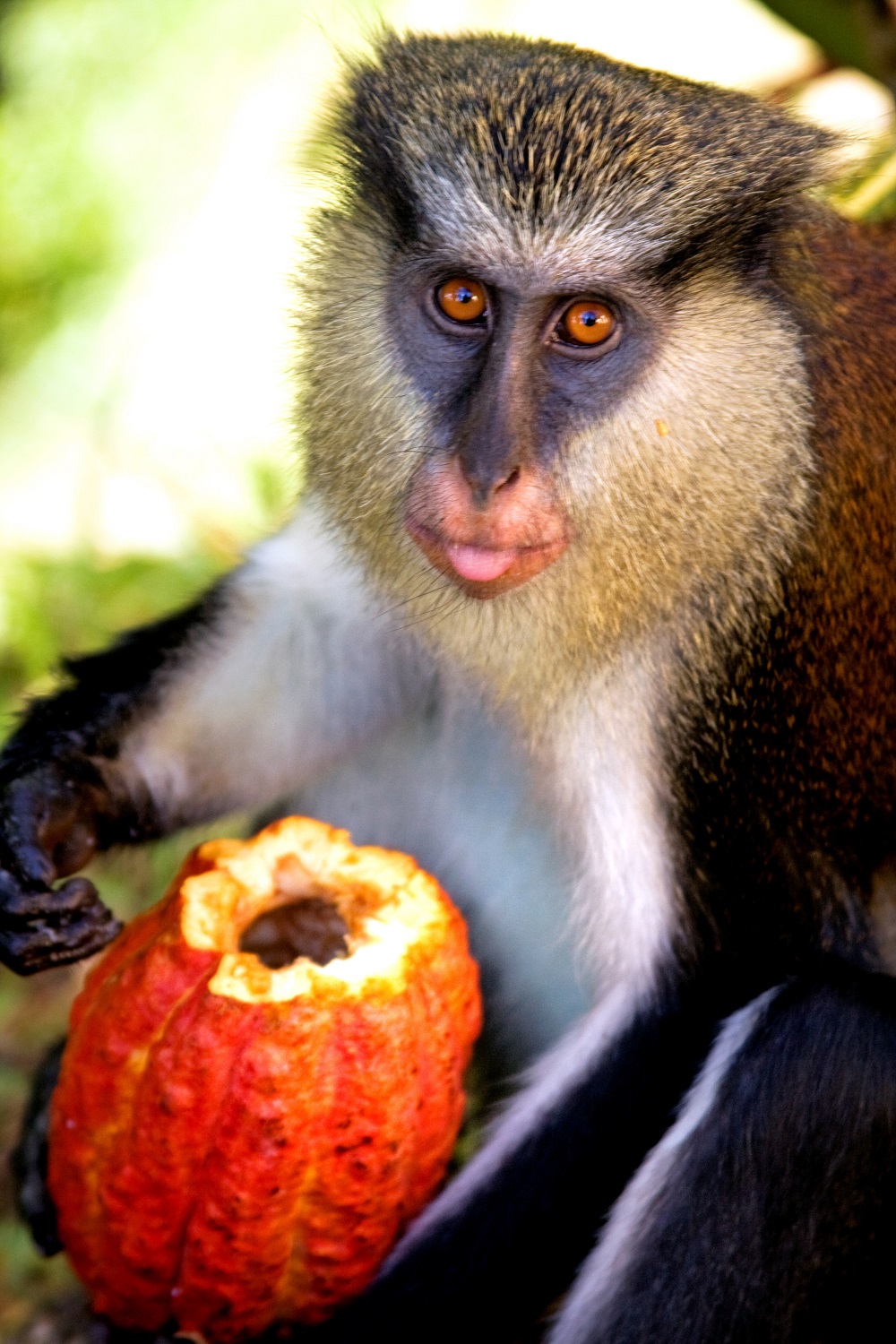 How to Have the Perfect Tropical Island Adventure on Grenada - Family ...