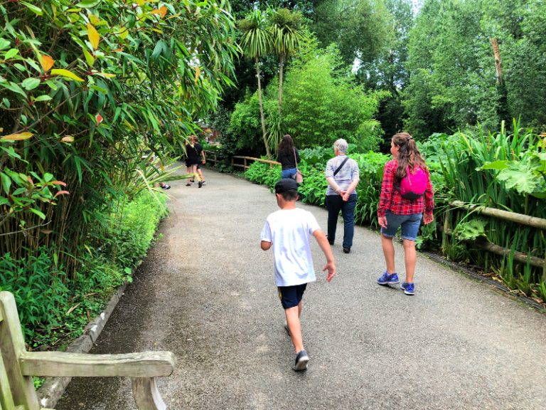 10 Amazing Family Activities in Cornwall, England - Family Fun Canada