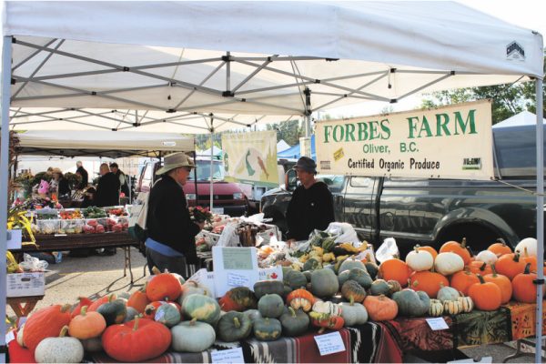 Things to Do this Fall in Kelowna, the Okanagan Valley’s Biggest City!