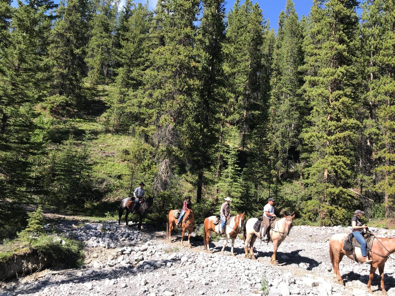 3 Days, 2 Nights and 1 Horse - An Adventure with Banff Trail Riders