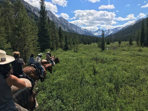 3 Days, 2 Nights and 1 Horse - An Adventure with Banff Trail Riders ...