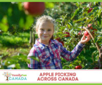 Guide to Apple Picking Across Canada - Family Fun Canada