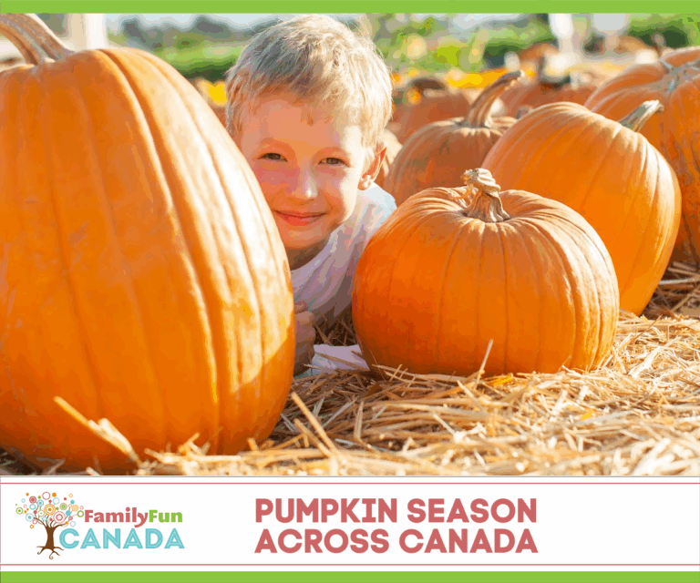 Plentiful Pumpkin Patches Across Canada - Family Fun Canada